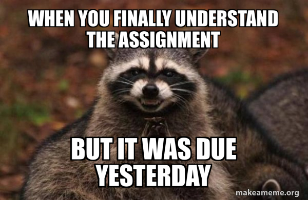 When you finally understand the assignment But it was due yesterday ...