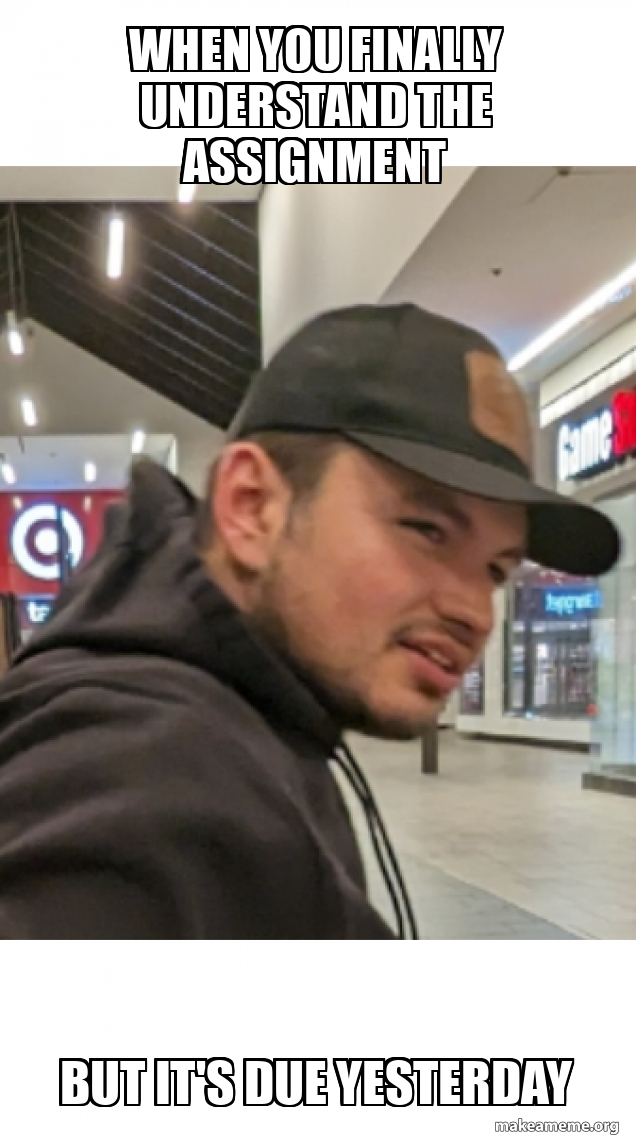 When you finally understand the assignment But it's due yesterday Meme ...