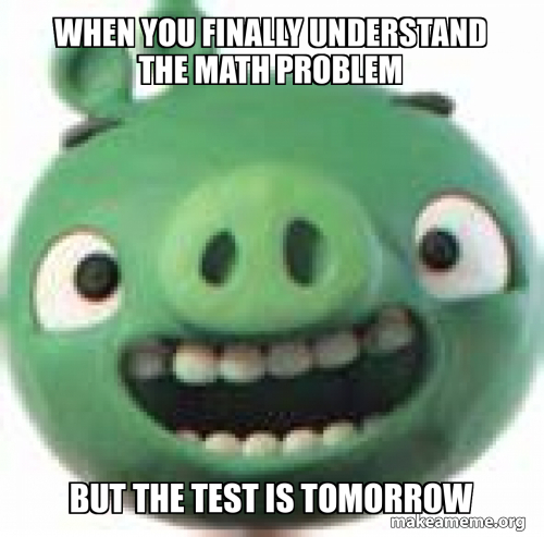 When you finally understand the math problem But the test is tomorrow ...