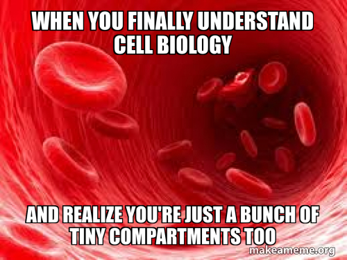 When you finally understand cell biology And realize you're just a ...