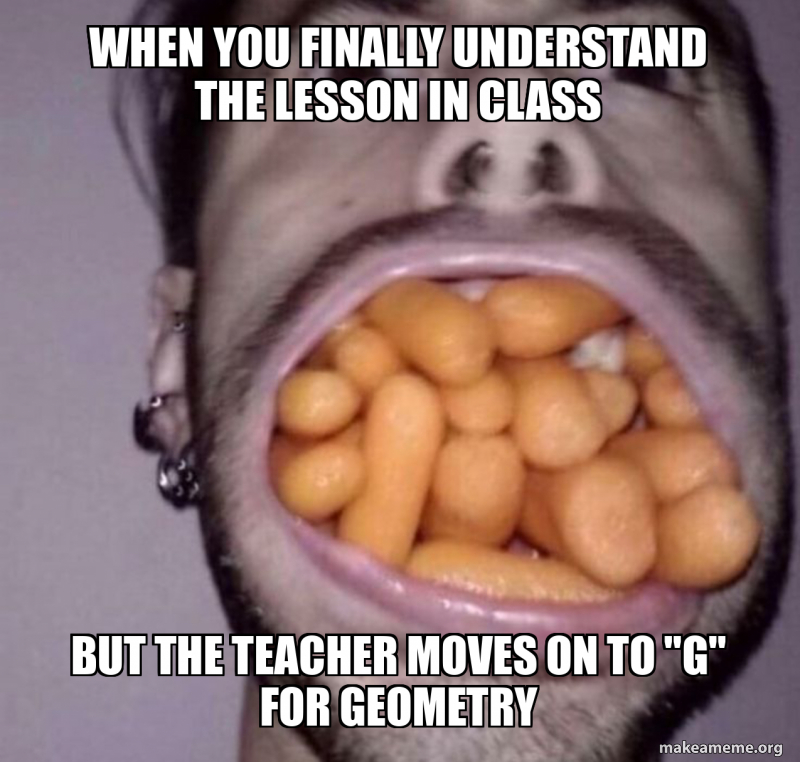 When you finally understand the lesson in class But the teacher moves ...