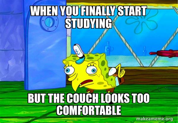 When you finally start studying But the couch looks too comfortable ...