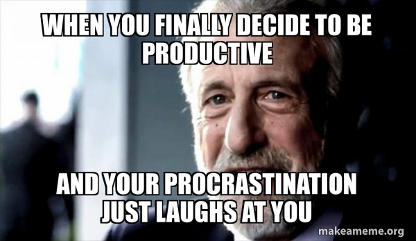 When you finally decide to be productive And your procrastination just ...