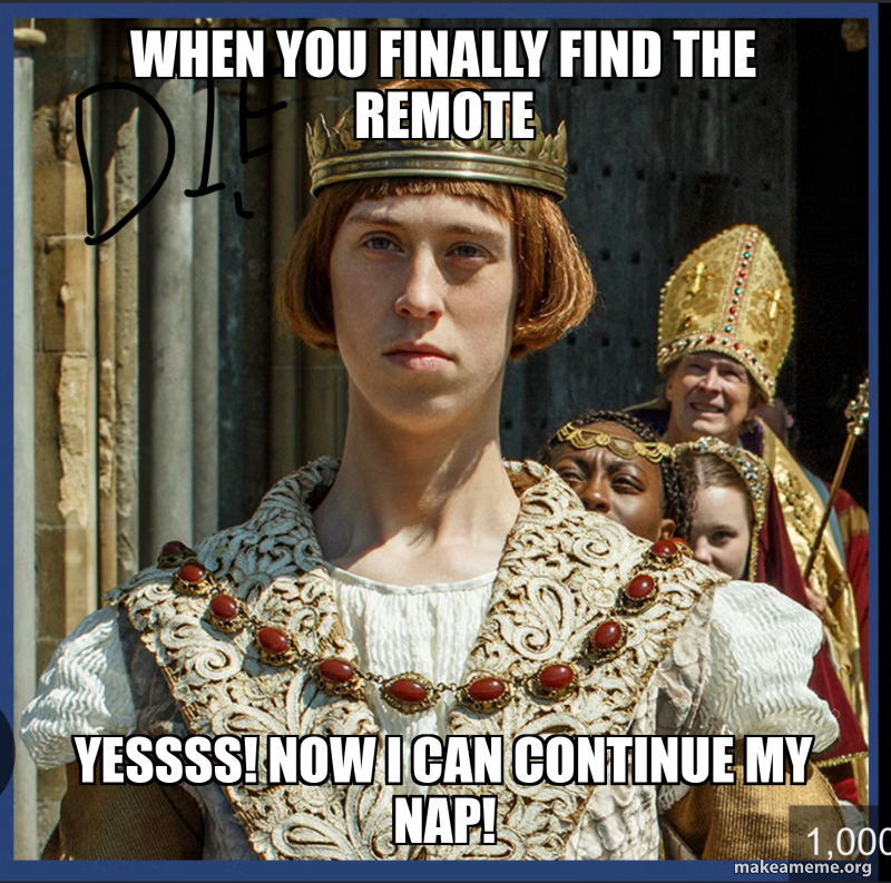 When you finally find the remote Yessss! Now I can continue my nap ...