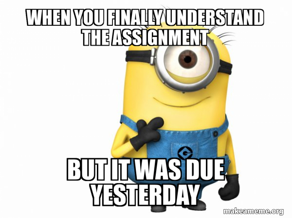When you finally understand the assignment But it was due yesterday ...