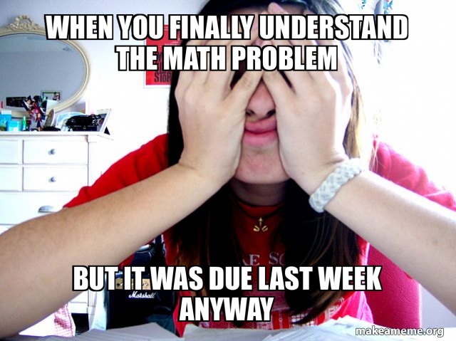 When you finally understand the math problem But it was due last week ...