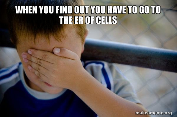 When you find out you have to go to the er of cells - Confession Kid ...