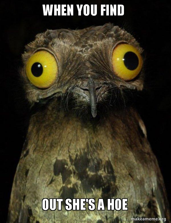When you find Out she's a hoe - Weird Stuff I do Potoo Meme Generator