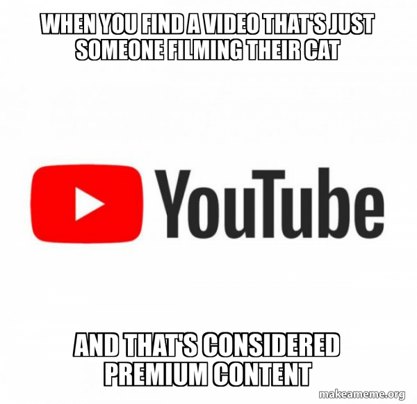 When you find a video that's just someone filming their cat And that's ...