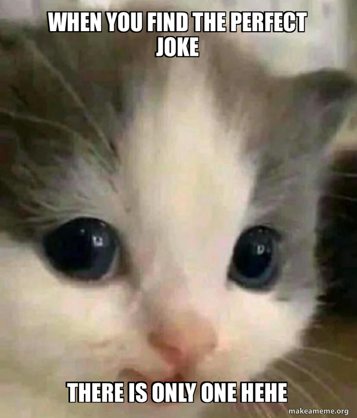 When you find the perfect joke There is only one hehe Meme Generator