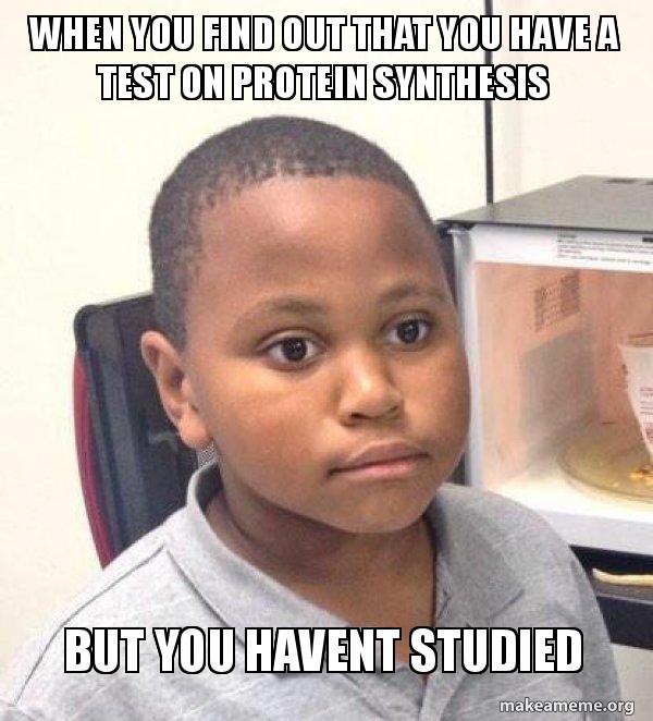 When you find out that you have a test on protein synthesis But you ...