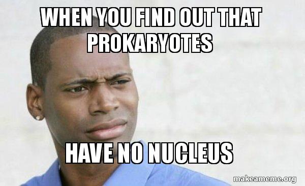 When you find out that Prokaryotes have no nucleus - Confused Black Man ...