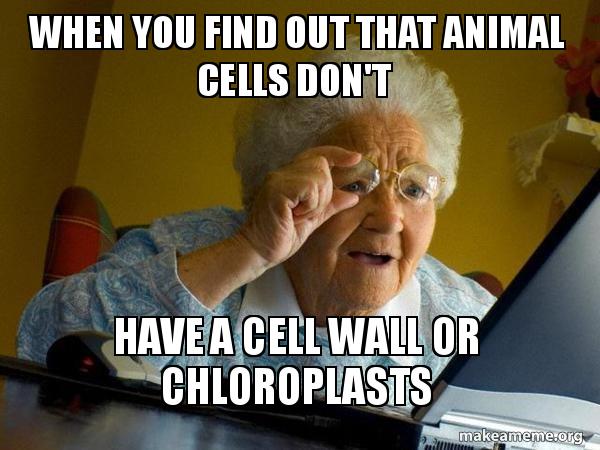 Animal Cell Memes Dogs Running On Empty Brain Cells 🤣🐶 NEW Funny