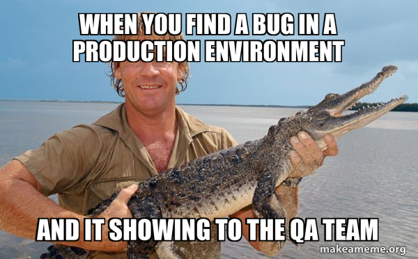 When you find a BUG in a Production environment And it showing to the ...