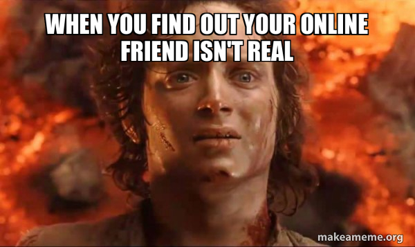 when you find out your online friend isn't real - Frodo it's over it's ...