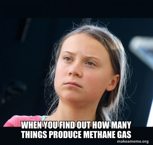 When you find out how many things produce methane gas - Greta Thunberg ...