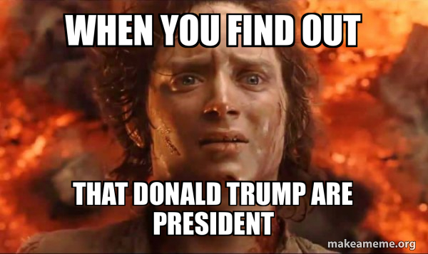 when you Find out THAT Donald Trump are president - Frodo it's over it ...