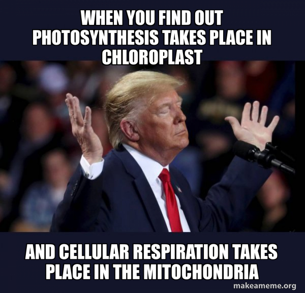When you find out photosynthesis takes place in chloroplast and ...