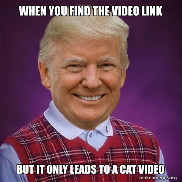 When you find the video link But it only leads to a cat video - Bad ...
