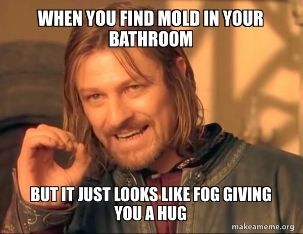 When you find mold in your bathroom But it just looks like fog giving ...