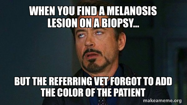 When you find a melanosis lesion on a biopsy... but the referring vet ...