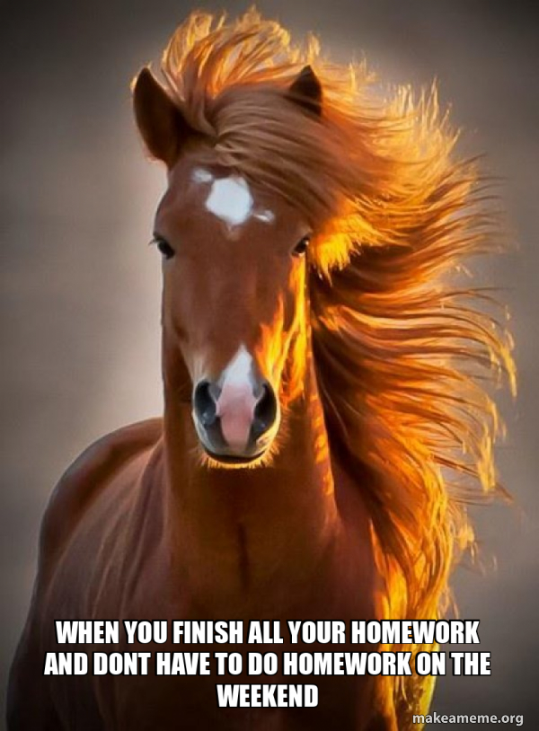 when you finish all your homework and dont have to do homework on the ...
