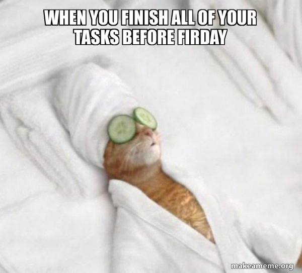 When you finish all of your tasks before Firday - Pampered Cat Meme ...