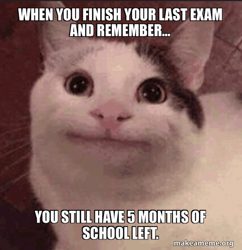 When you finish your last exam and remember… You still have 5 months of ...