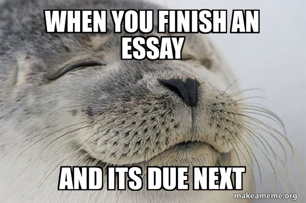 When you finish an essay and its due next - Satisfied Seal Meme Generator