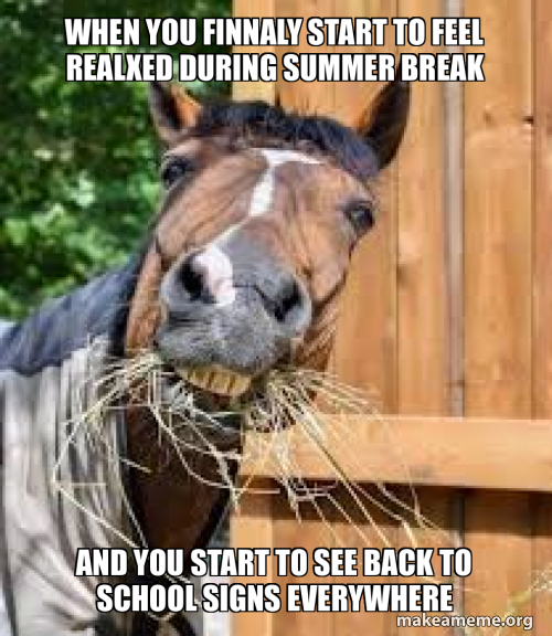 when you finnaly start to feel realxed during summer break and you ...