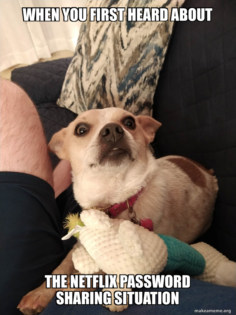 when you first heard about the netflix password sharing situation Meme ...