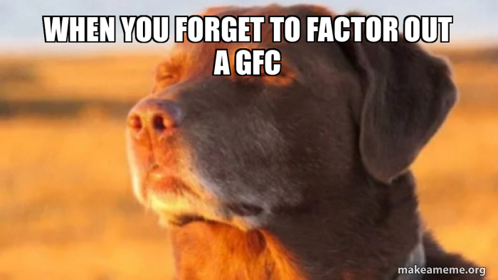 When you forget to factor out a gfc Meme Generator