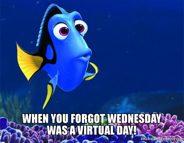 When you forgot Wednesday was a virtual day! - Dory from Nemo (5 second ...