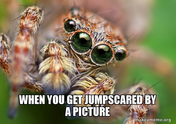 when you get jumpscared by a picture - Hipster Spider Meme Generator