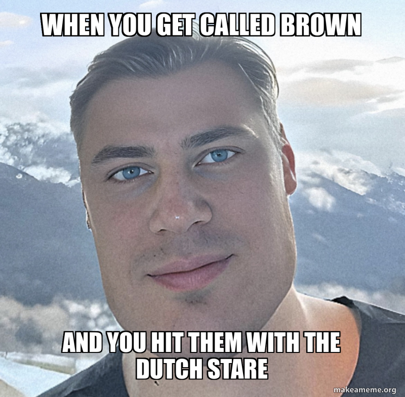 When you get called brown And you hit them with the dutch stare Meme ...