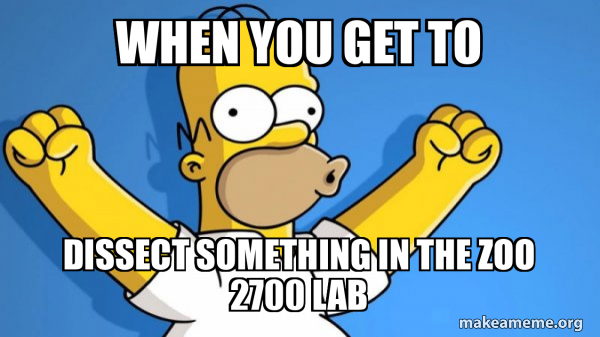 When you get to dissect something in the ZOO 2700 lab - Happy Homer ...