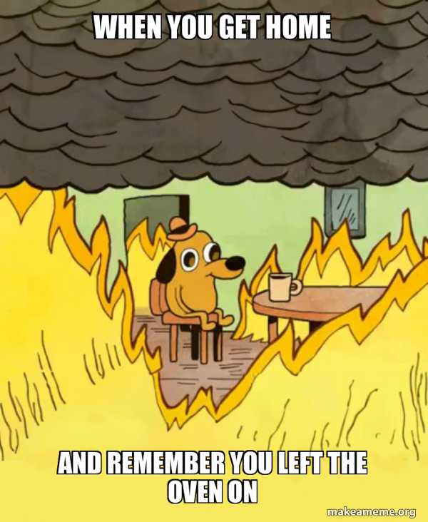 When you get home And remember you left the oven on - This Is Fine Meme ...