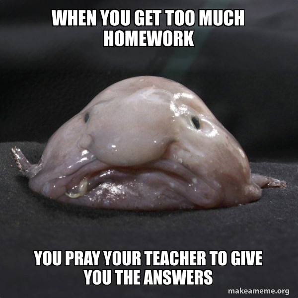 When you get too much homework You pray your teacher to give you the ...