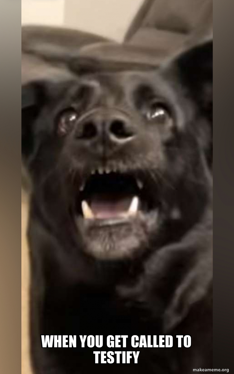 WHEN YOU GET CALLED To testify Meme Generator