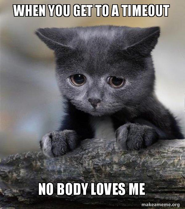 Time Out Cat Meme Best Cat Memes Of All Time | World's Best Cat Litter