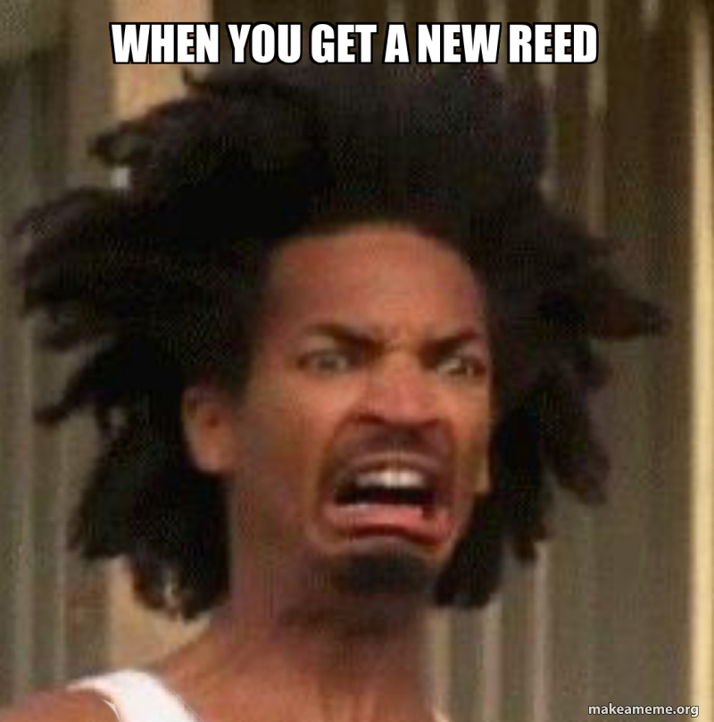 When you get a new reed Meme Generator