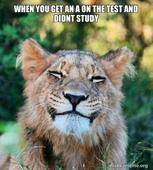 when you get an a on the test and didnt study Meme Generator