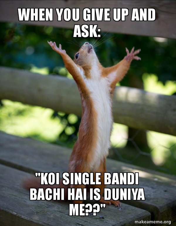 Koi Memes Awesome_Pics_ Koi Memes & GIFs Imgflip