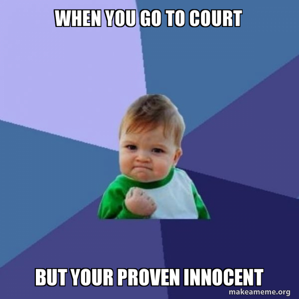 When you go to court But your proven innocent - Success Kid Meme Generator