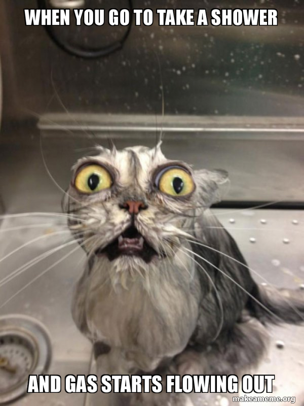 when you go to take a shower and gas starts flowing out - Cat bath Meme ...