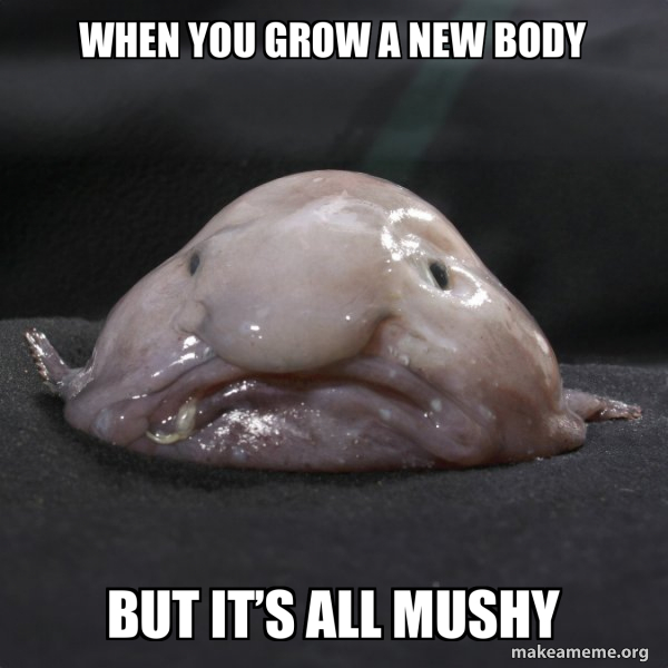 When you grow a new body But it’s all mushy - Blobfish Meme Generator