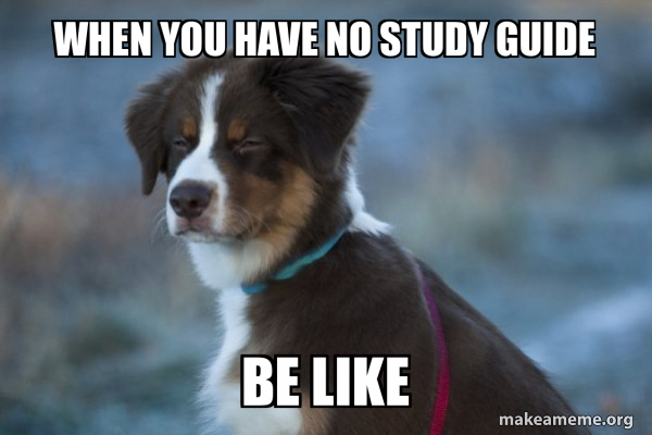 When you have no study guide be like - Unsure Dog Meme Generator