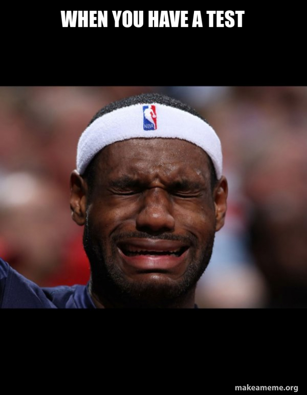 when you have a test - Lebron Crying Meme Generator