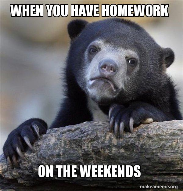 When you have homework on the weekends - Confession Bear Meme Generator