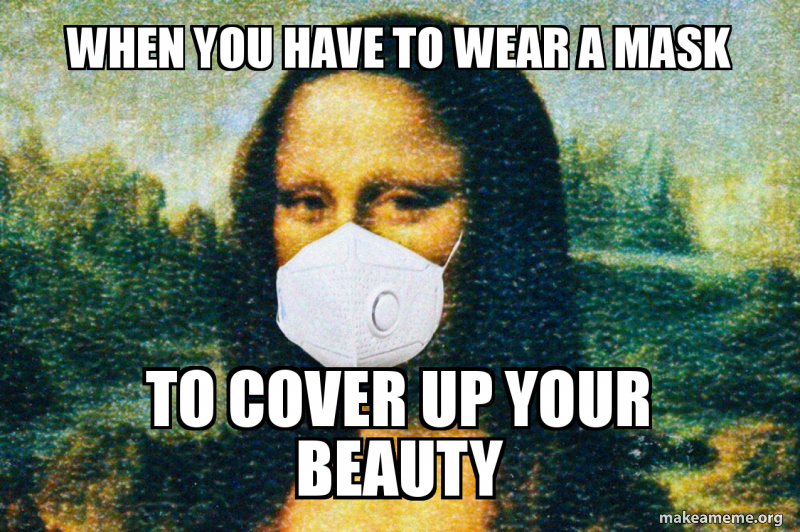 when you have to wear a mask to cover up your beauty Meme Generator